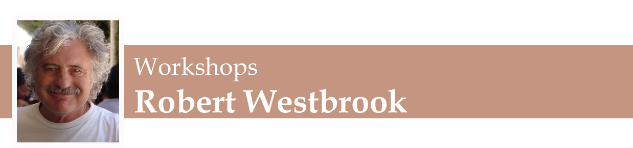 Robert Westbrook Published Books